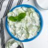 Tzatziki Greek Cucumber Salad Recipe - Midwestern HomeLife