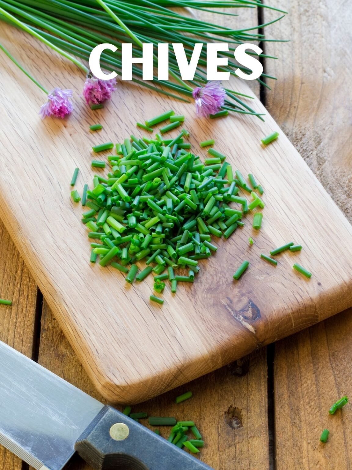 7 Best Substitutes for Scallions - Midwestern HomeLife