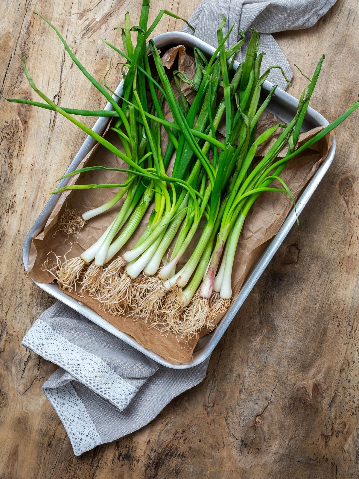 7 Best Substitutes for Scallions - Midwestern HomeLife
