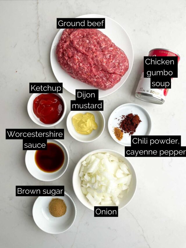 Chicken Gumbo Sloppy Joe Recipe - Midwestern HomeLife
