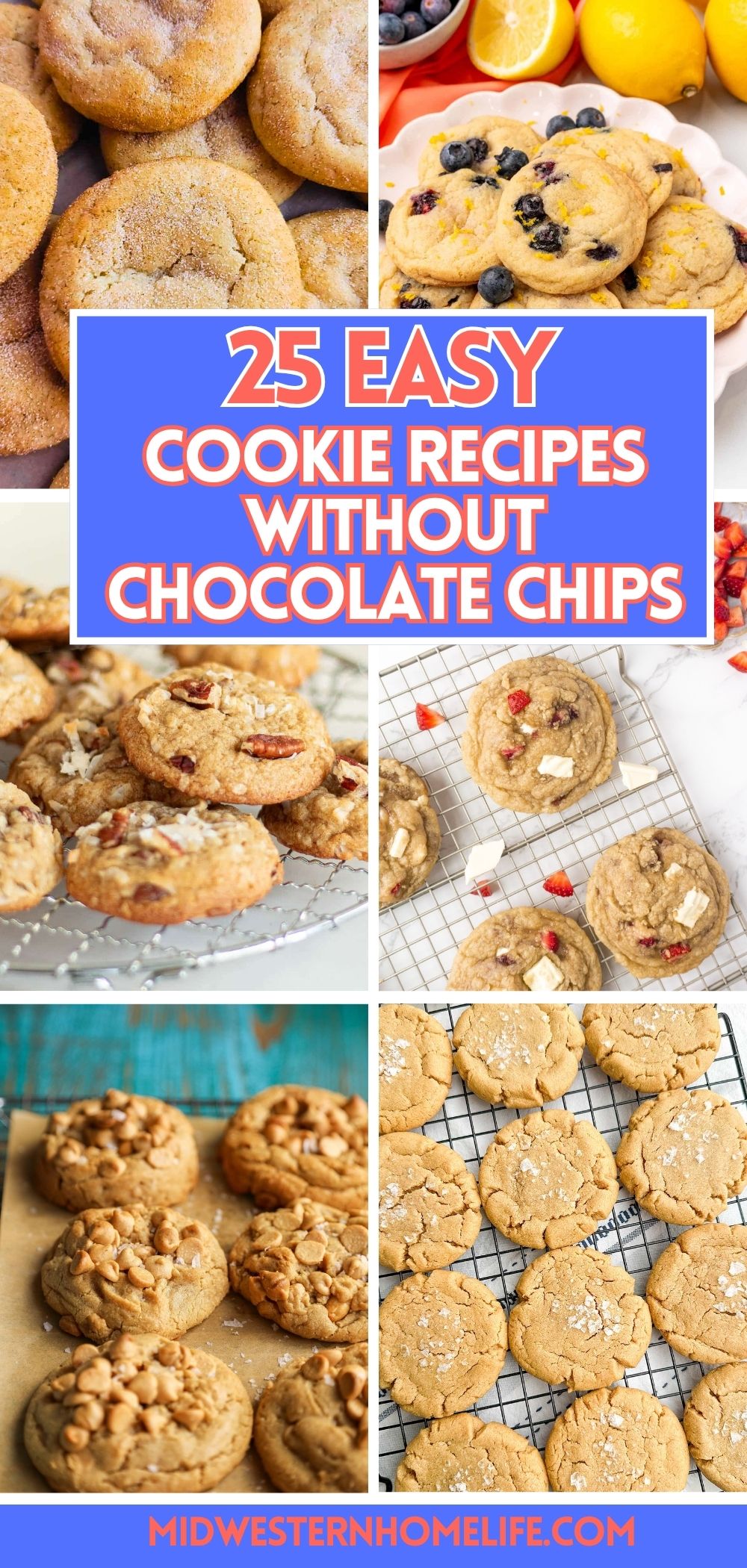 25 Cookie Recipes without Chocolate Chips - Midwestern HomeLife