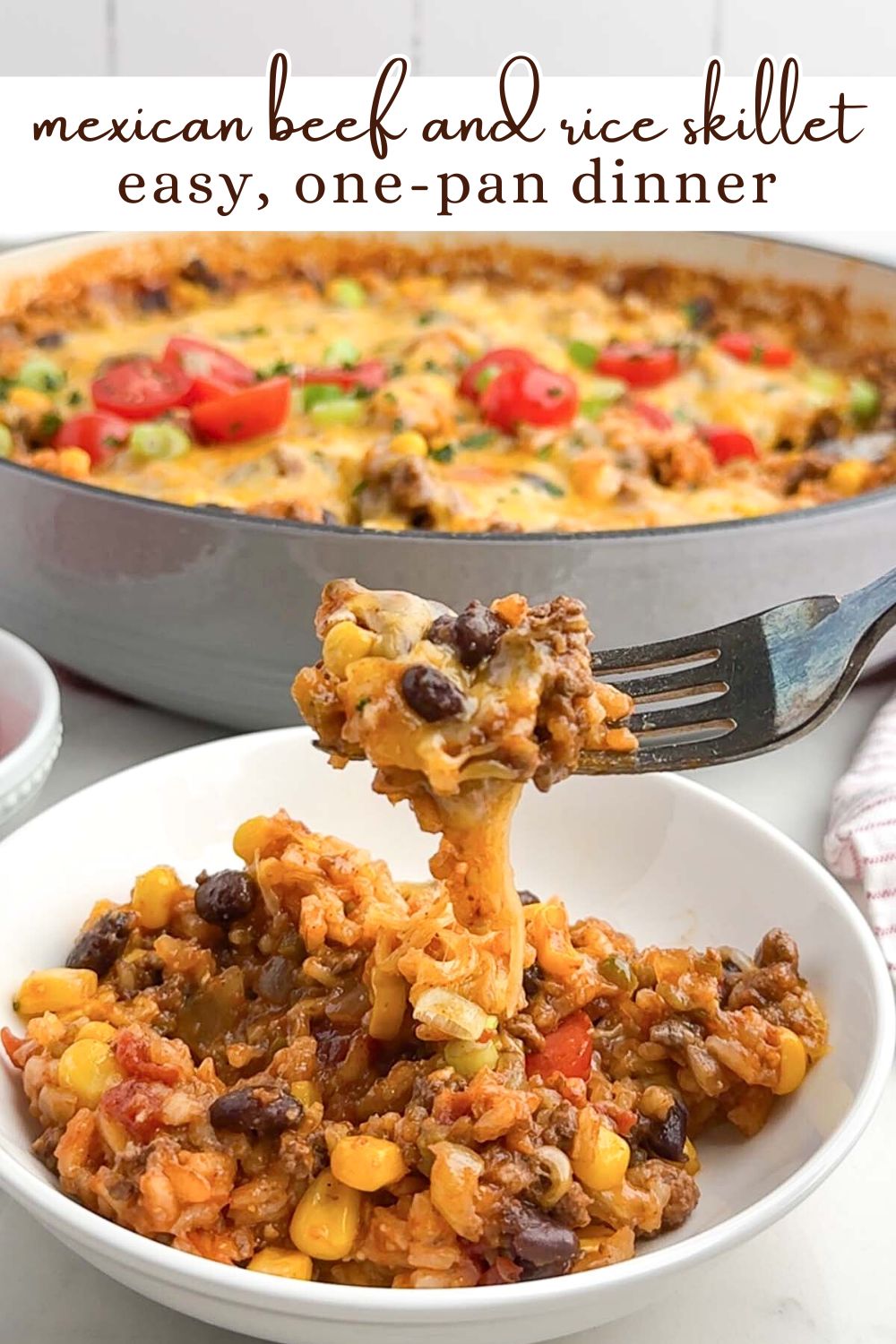 Ground Beef Salsa Rice - Midwestern HomeLife
