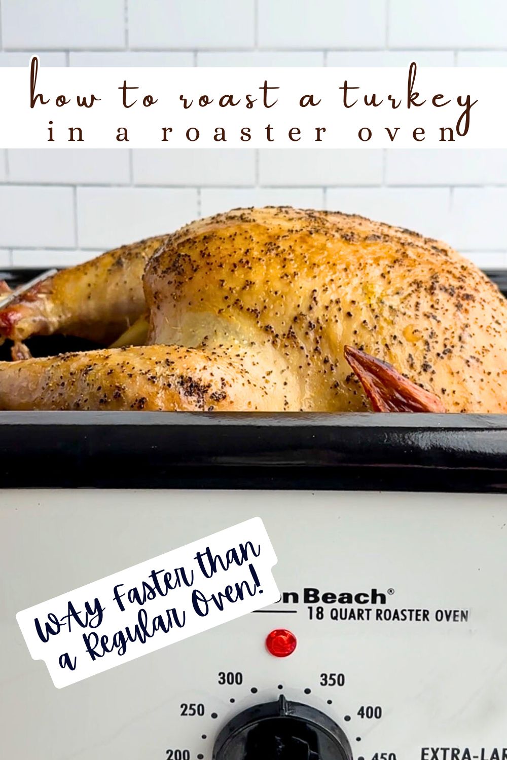 How to Roast a Turkey in a Roaster - Midwestern HomeLife