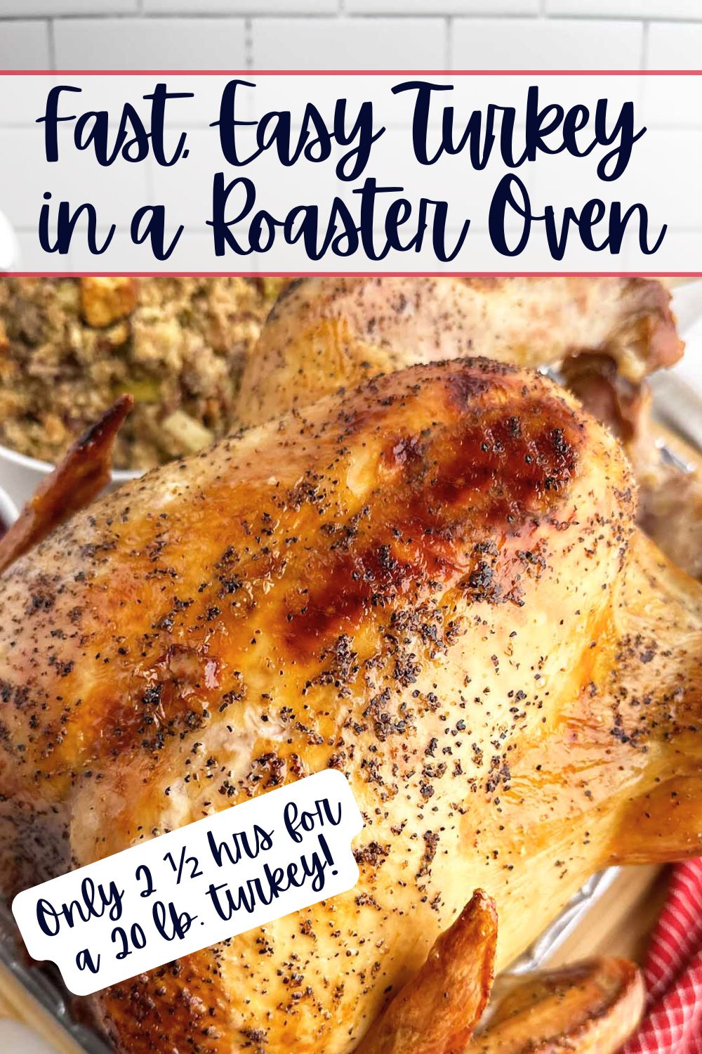 How to Roast a Turkey in a Roaster - Midwestern HomeLife